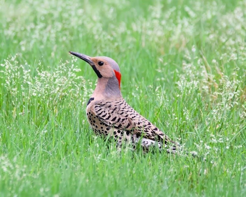 Unlock Your Nikon D610's Full Potential: Expert Guide & Tips